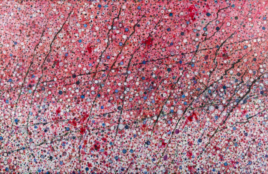 Landon Mackenzie | Artist, Educator and Philanthropist | Emily Carr ...